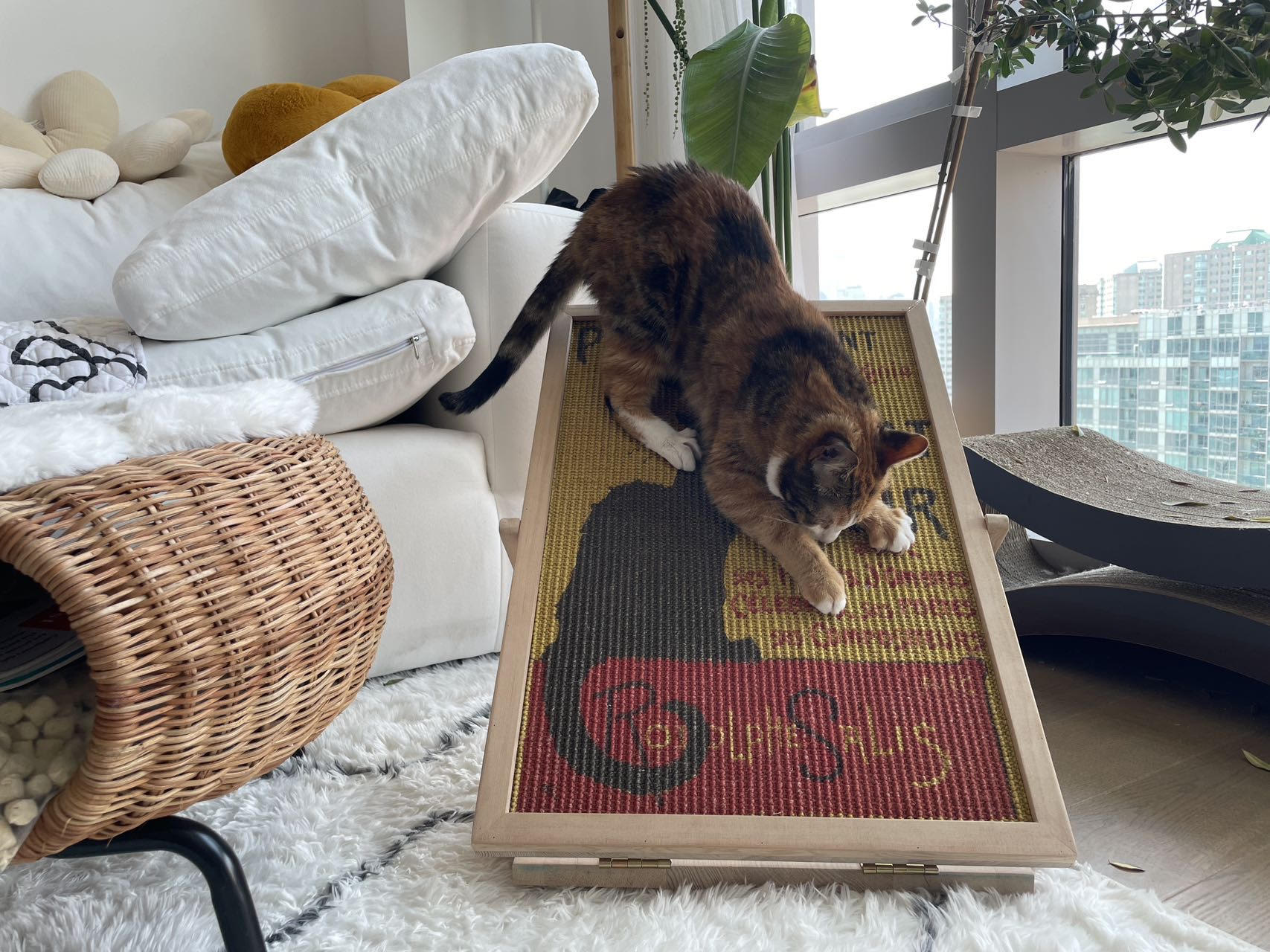 Cat Scratching Guide: Introducing Your Cat to a Scratcher